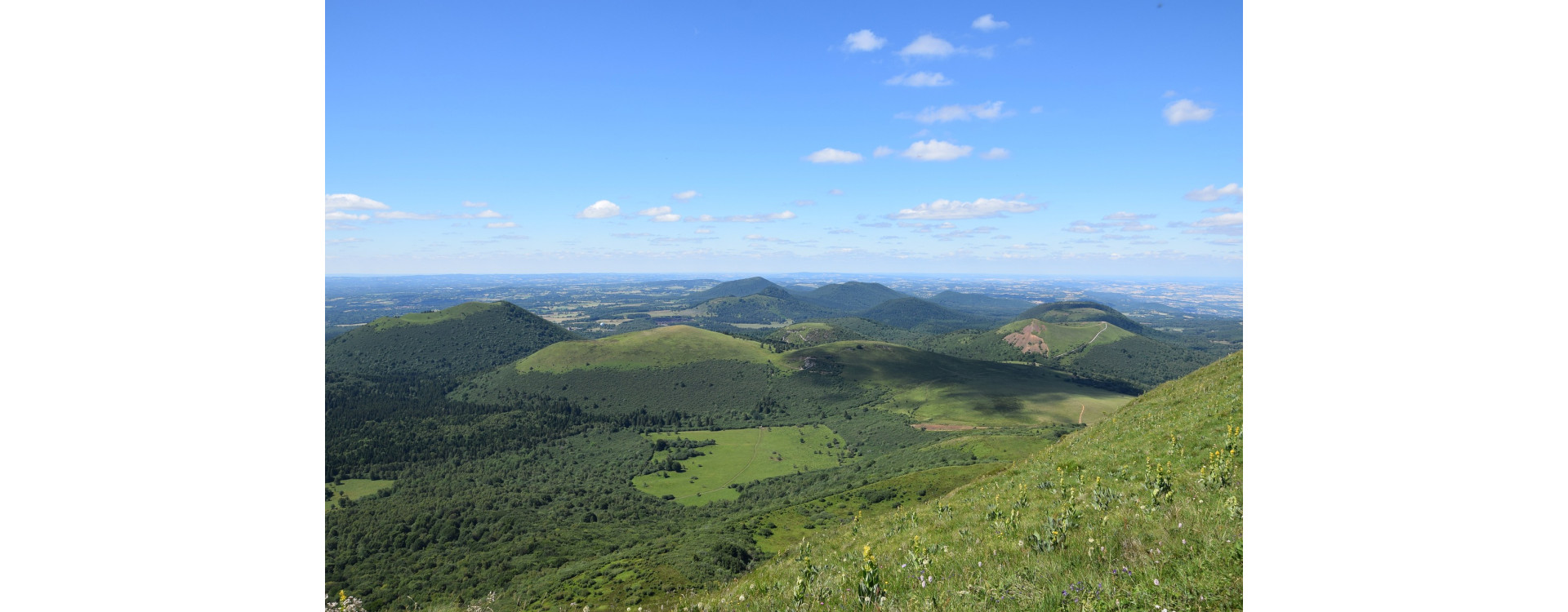 A company committed to CSR Infusion | Pagès Thés et Infusions